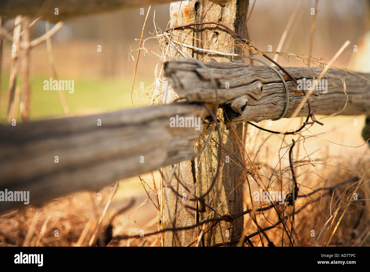 Old wooden fence Stock Photo - Alamy