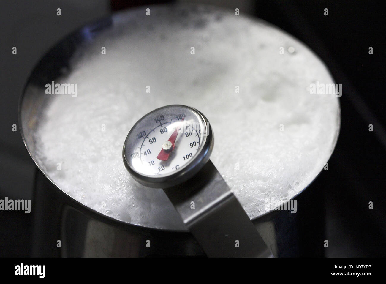 Milk foamed in a stainless steel pitcher with a thermometer reading 160 ...
