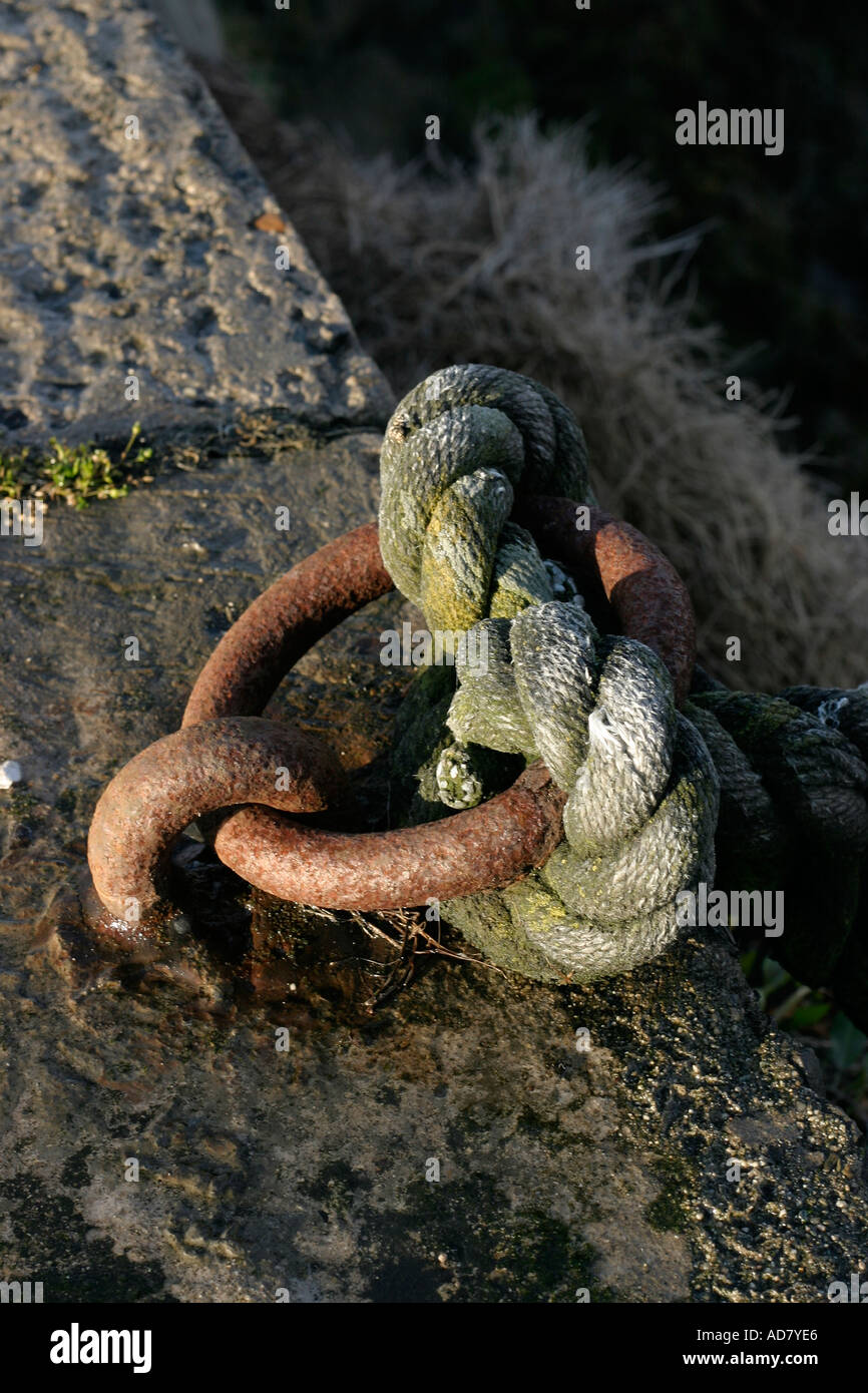 A large diameter algae stained rope tied tightly to a rusting ring ...