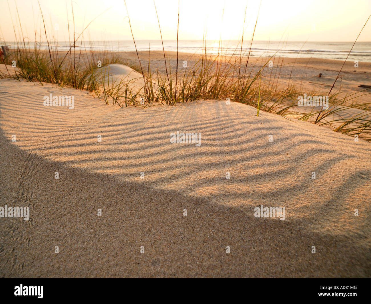Sandy beach with ocean in background Stock Photo - Alamy
