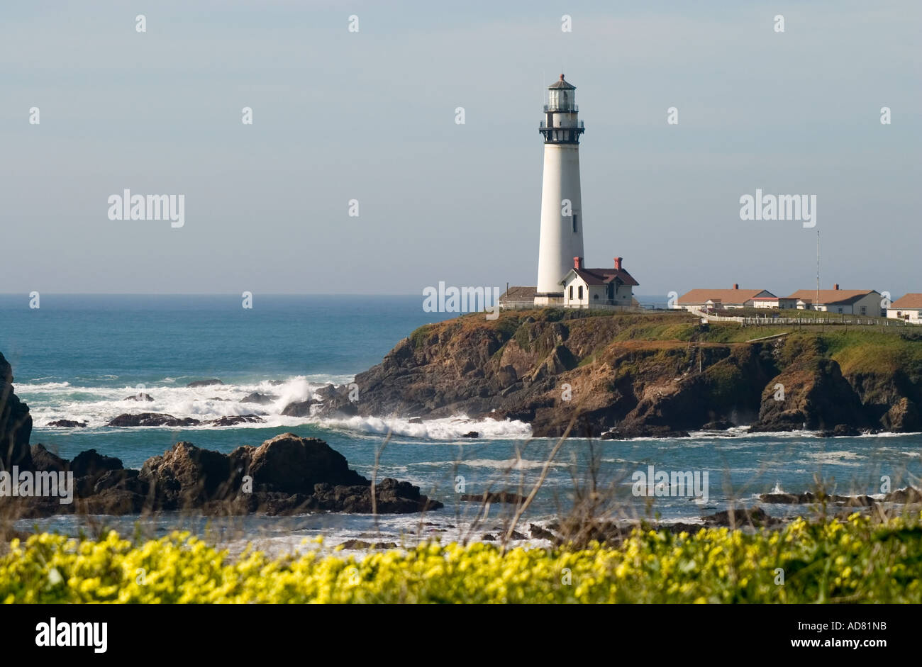 Pigeon Point Lighthouse on the Northern California coast Stock Photo ...
