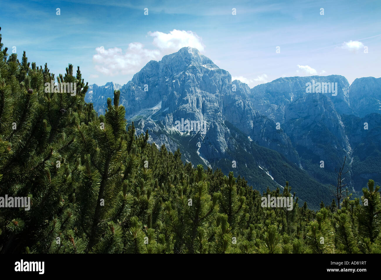 A view of the mount Jof di Montasio from the peak of the Mount Due ...