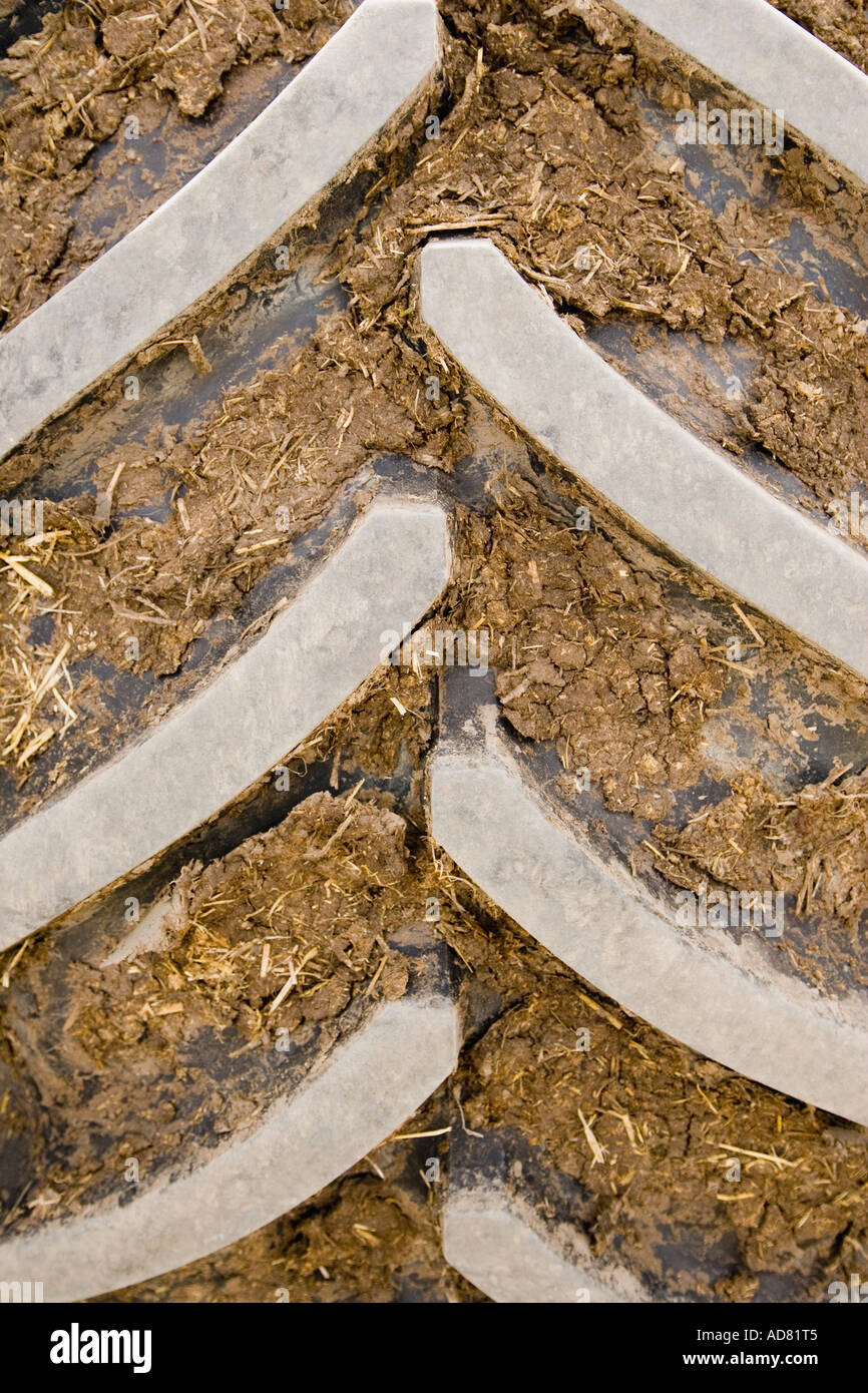 Caked dirt hi-res stock photography and images - Alamy