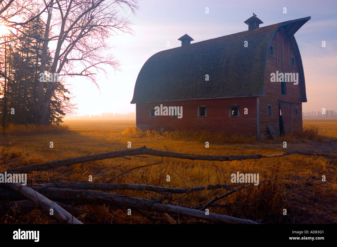 A barn sits in morning mist Stock Photo - Alamy