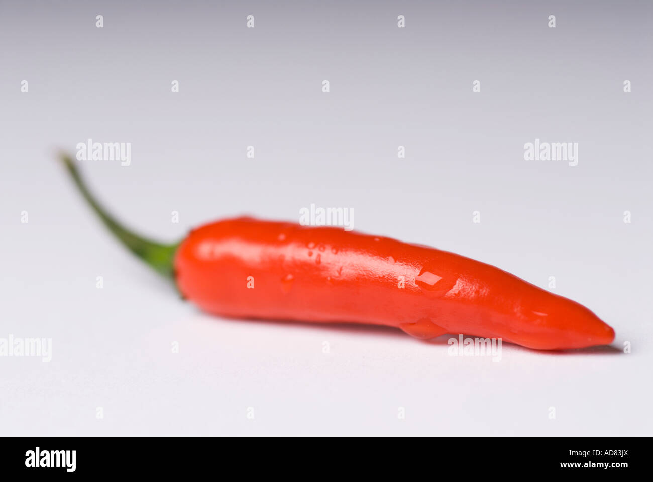 Image of a single, sweating, red chilli pepper Stock Photo - Alamy