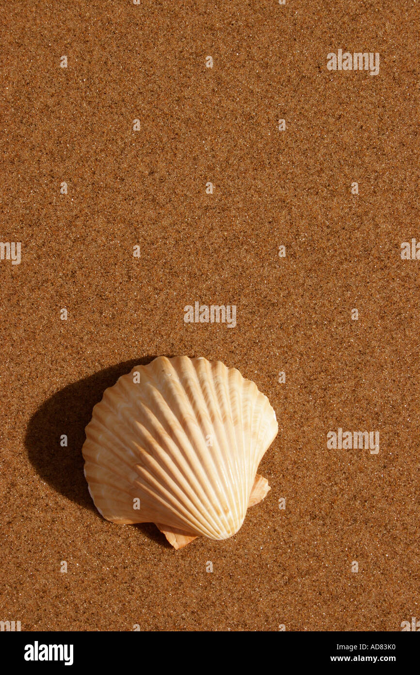 Marinerverticalbackground hi-res stock photography and images - Alamy