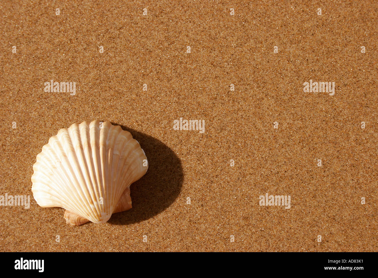 Marinerhorizontalbackground hi-res stock photography and images - Alamy