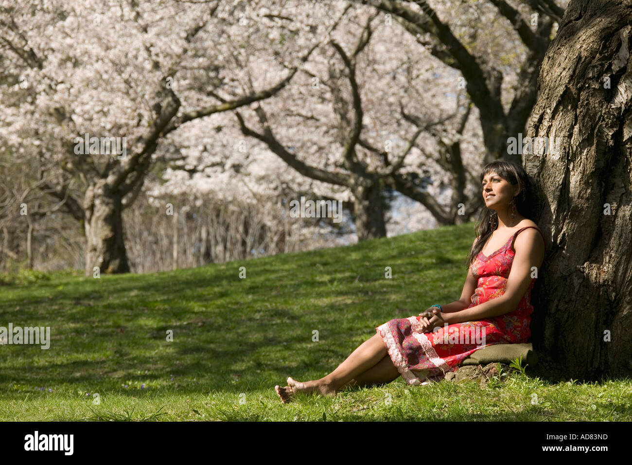 Marshhorizontal hi-res stock photography and images - Alamy