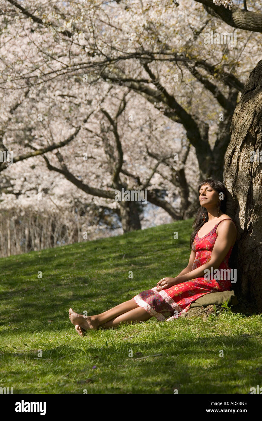 People relaxing under the tree hi-res stock photography and images - Alamy