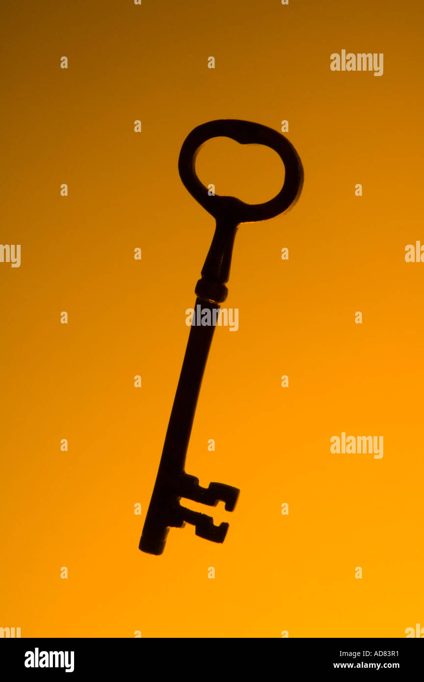 Skeleton key silhouette Stock Photo - Alamy