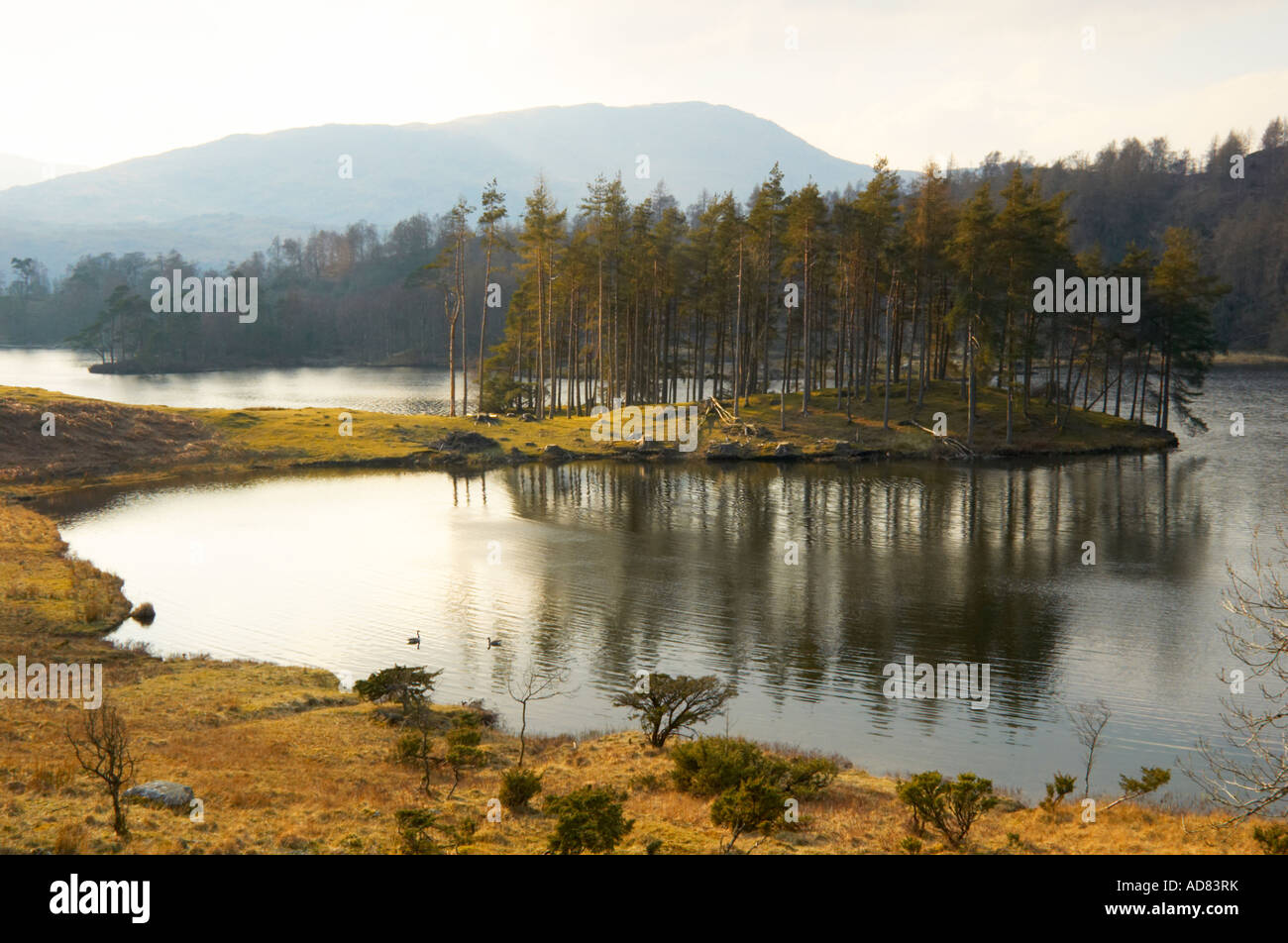 Tarn hows, Cumbria Stock Photo - Alamy