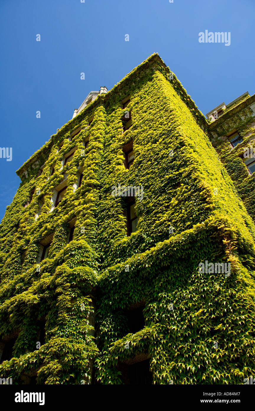 Ivy covered structures hi-res stock photography and images - Alamy