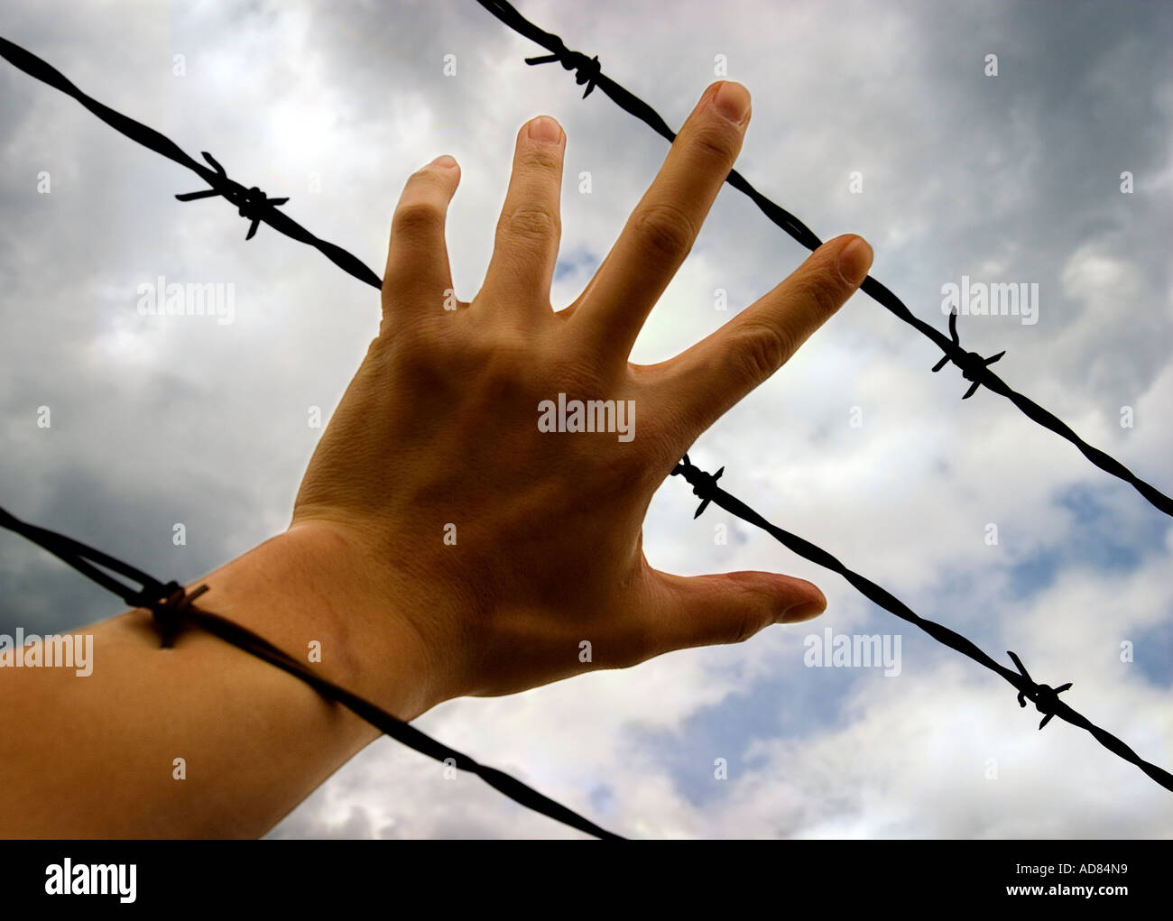 Trying to escape Stock Photo - Alamy