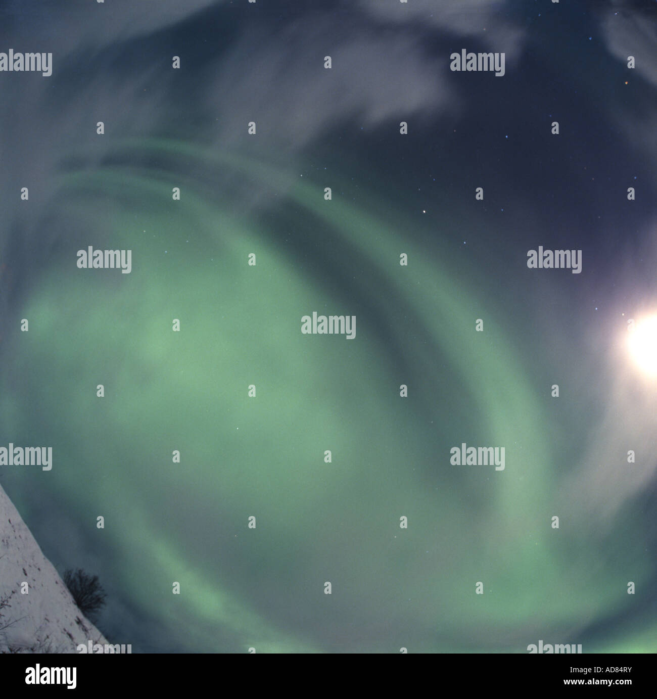 Overhead shot of northern lights arc fish MF fisheye 120 format slide ...