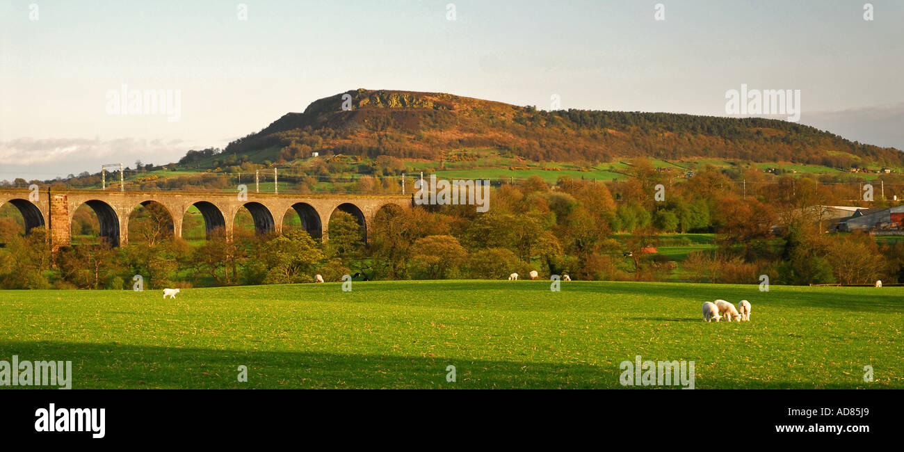 Spring evening walk hi-res stock photography and images - Alamy