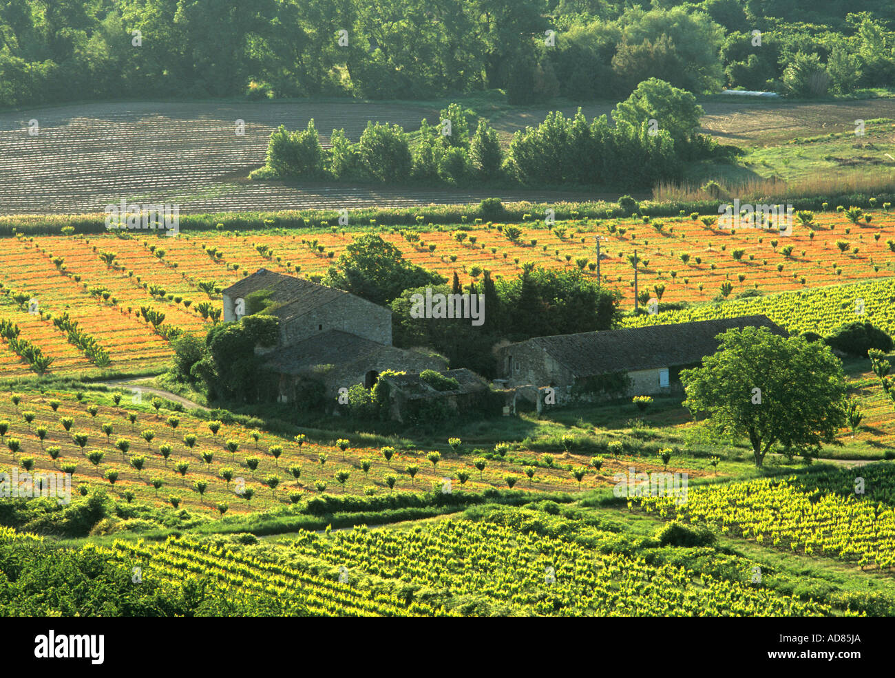 France typical country hi-res stock photography and images - Alamy