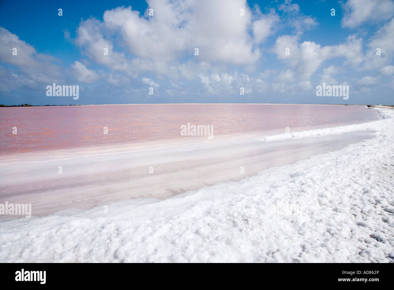 Cargill solar salt operation south hi-res stock photography and images ...
