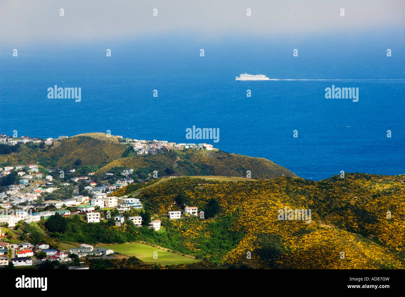 New Zealand North Island Wellington Panoramic View of the Cook Straits ...