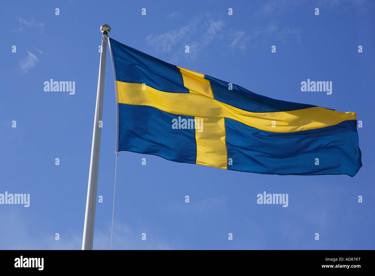 The Swedish flag Stock Photo - Alamy