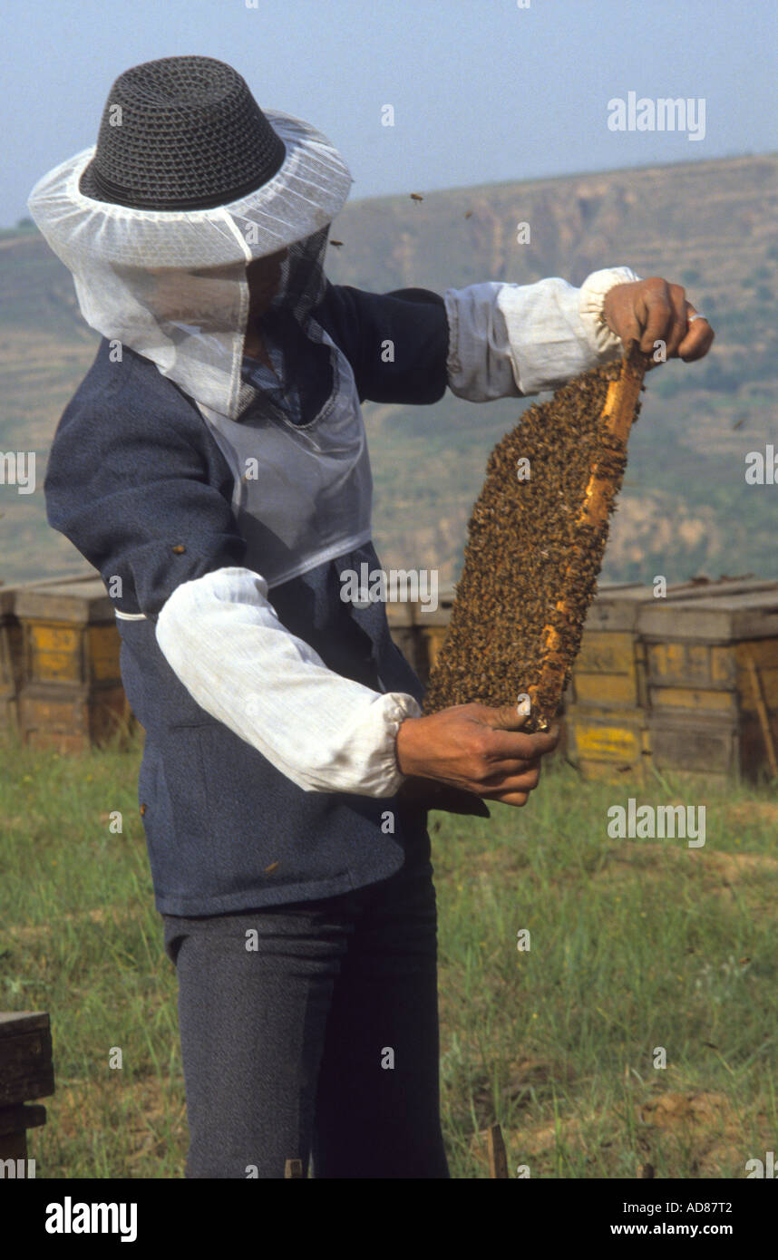 Itinerant lifestyle hi-res stock photography and images - Alamy