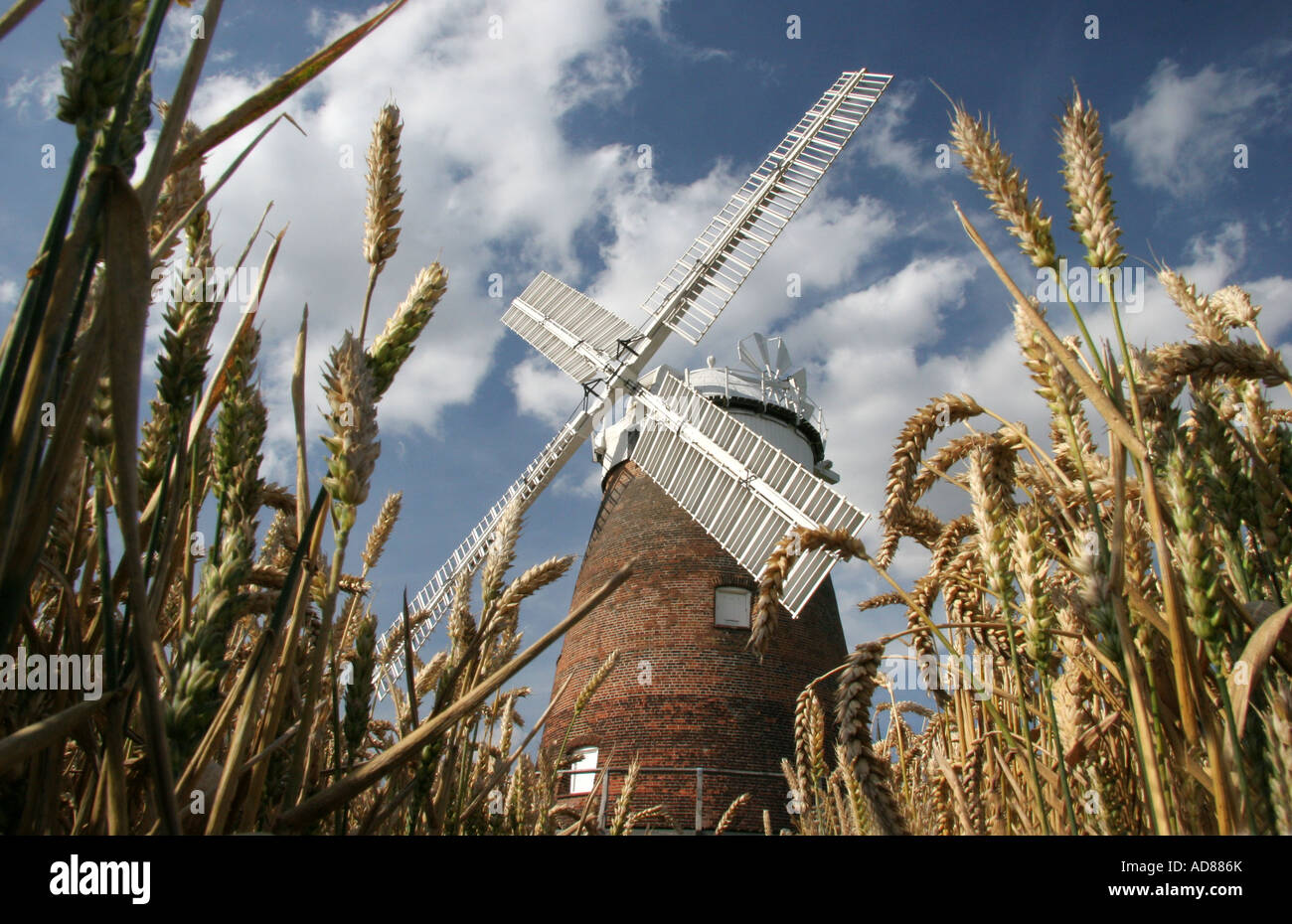 Thaxted windmill was built by John Webb, a local farmer, landowner in ...