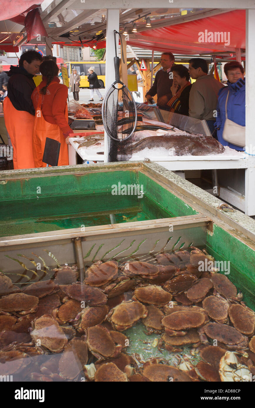 Live monkfish hi-res stock photography and images - Alamy
