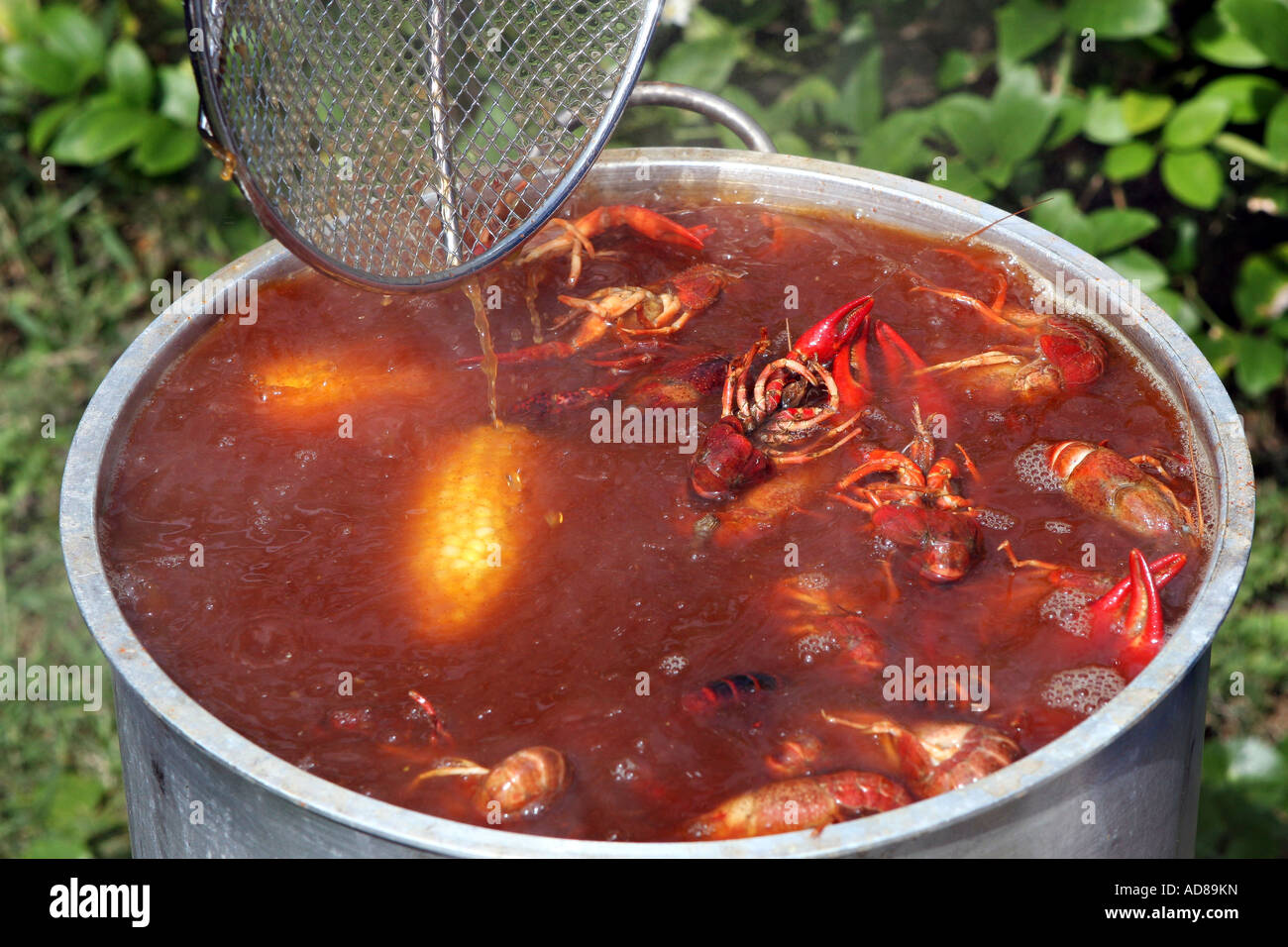 Crawdad boil hi-res stock photography and images - Alamy