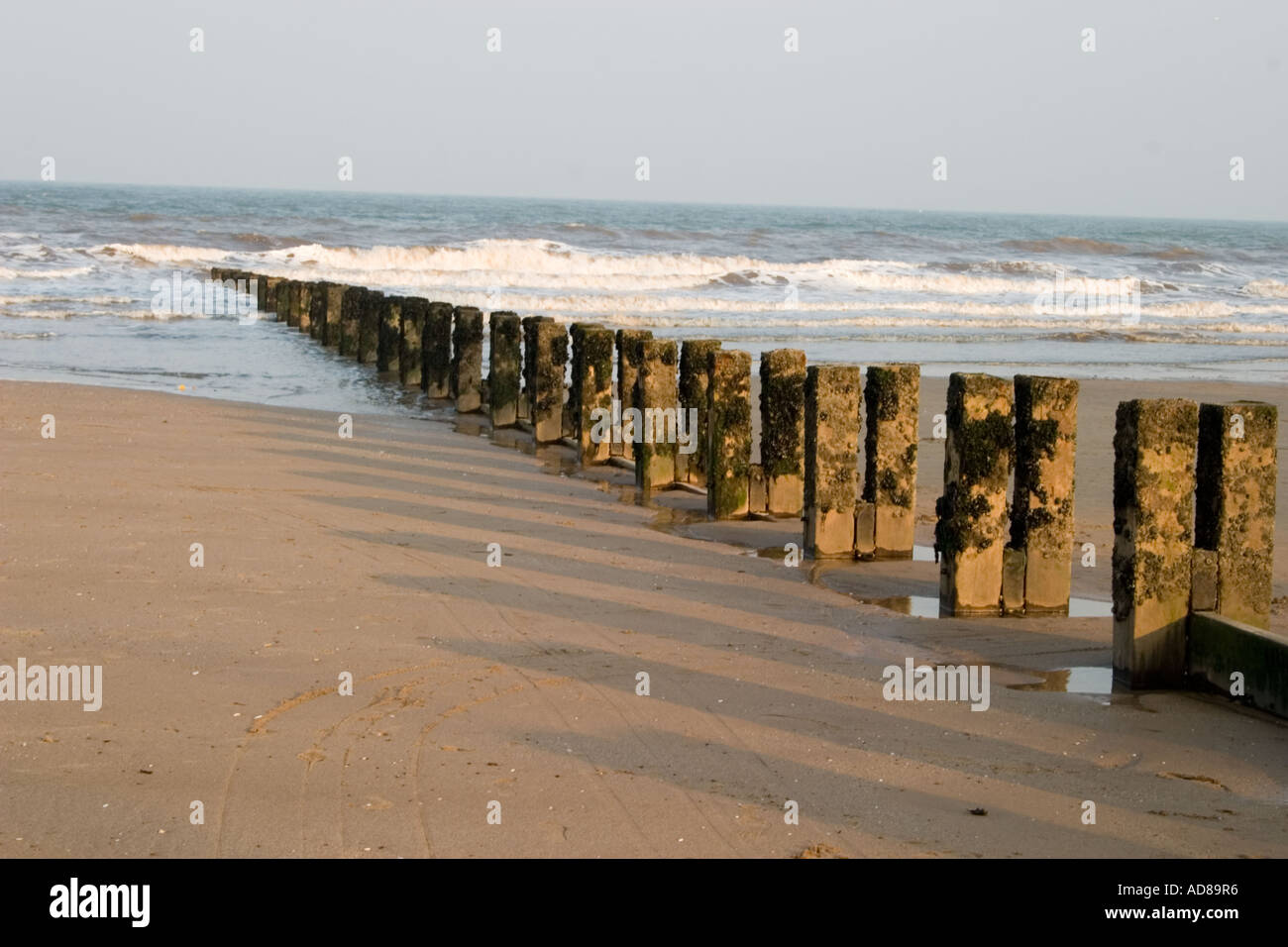 groynes on Bridlington beach Stock Photo - Alamy