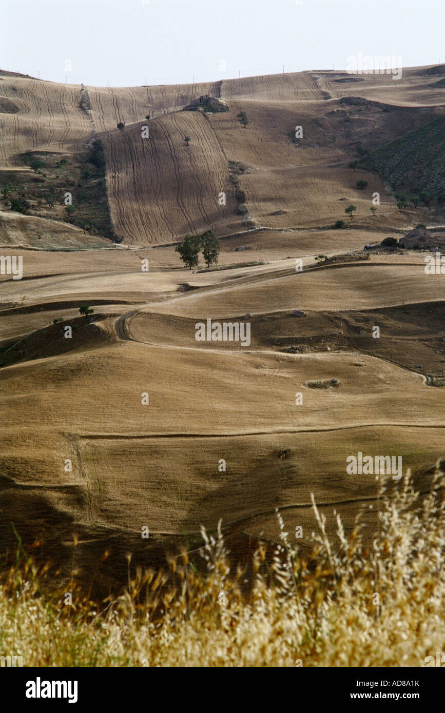 Rolling landscape with fields Stock Photo - Alamy