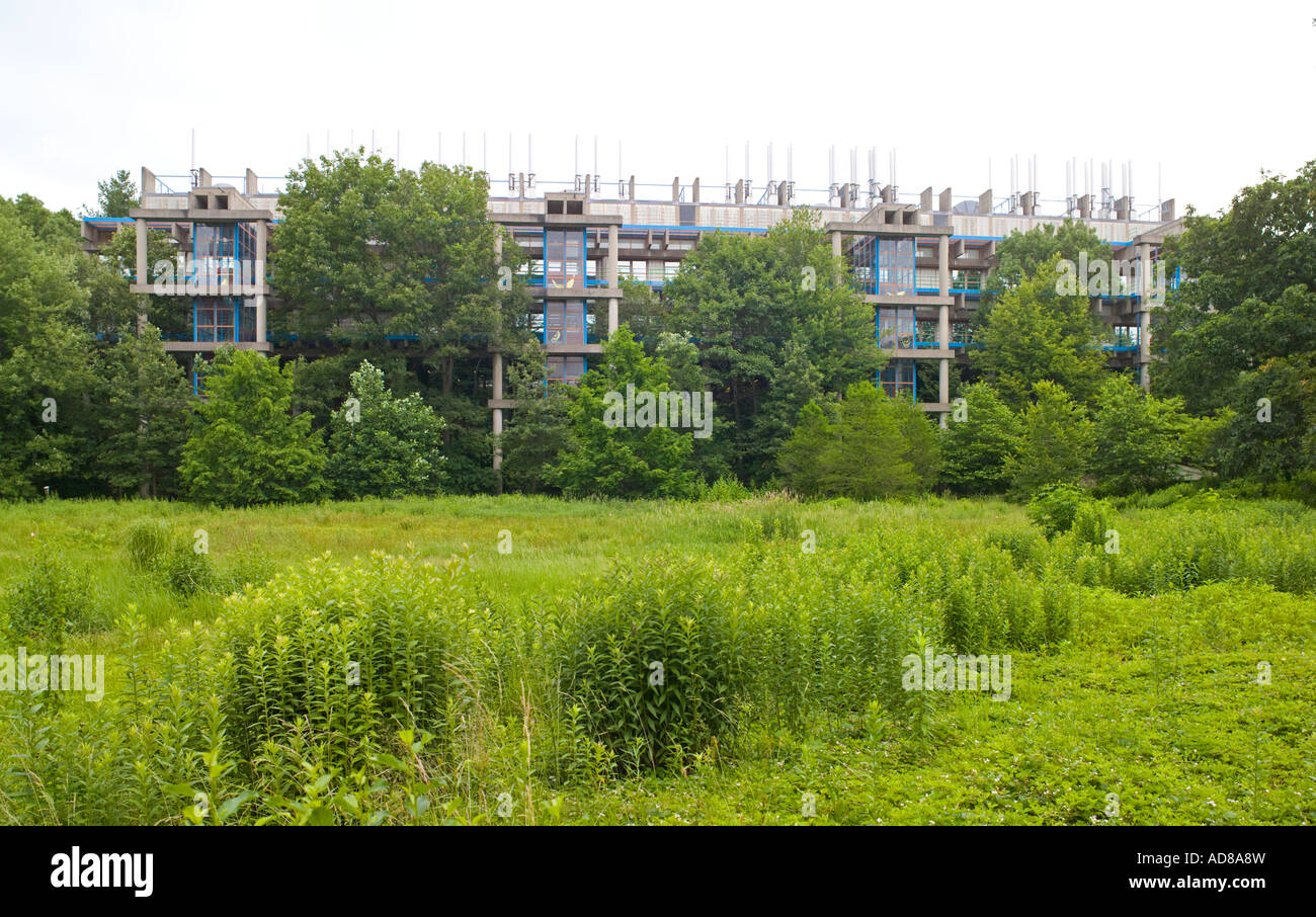 Charles wellesley hi-res stock photography and images - Alamy