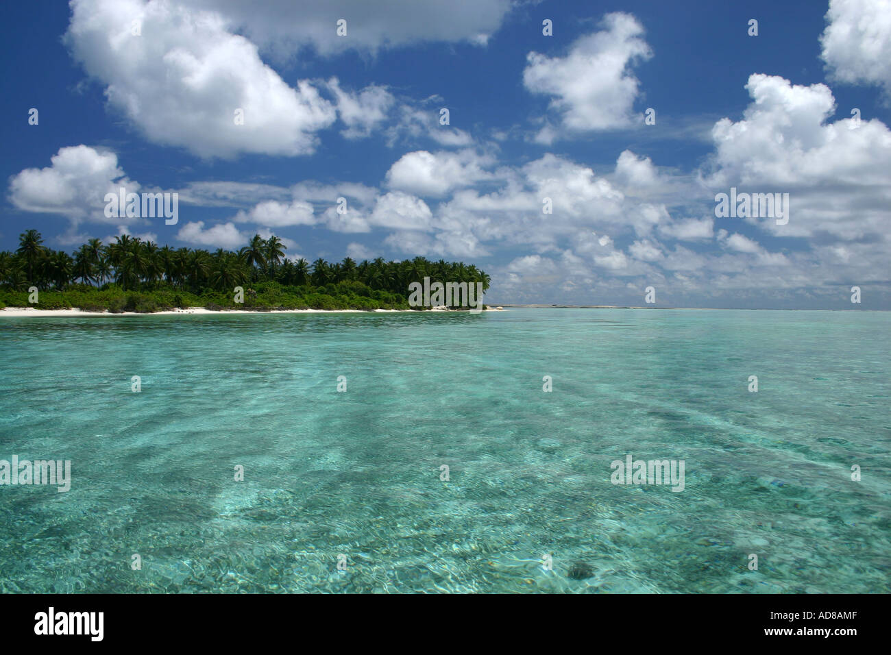 Island in the turquoise water Stock Photo - Alamy