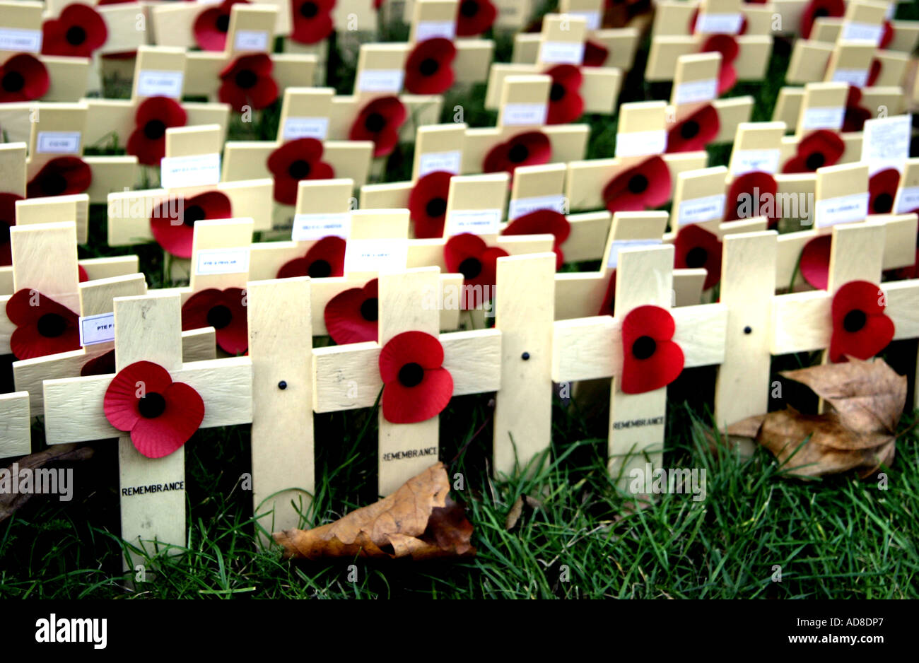 A field of crosses and red poppies in the grounds of Westminster ...