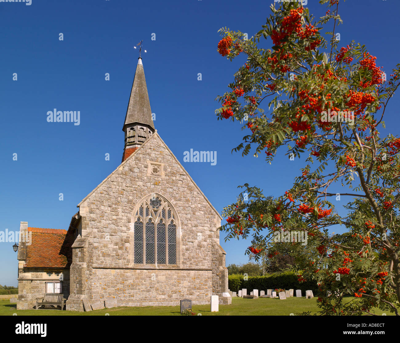 St Lawrence Church Newland with Rowan berries Stock Photo - Alamy