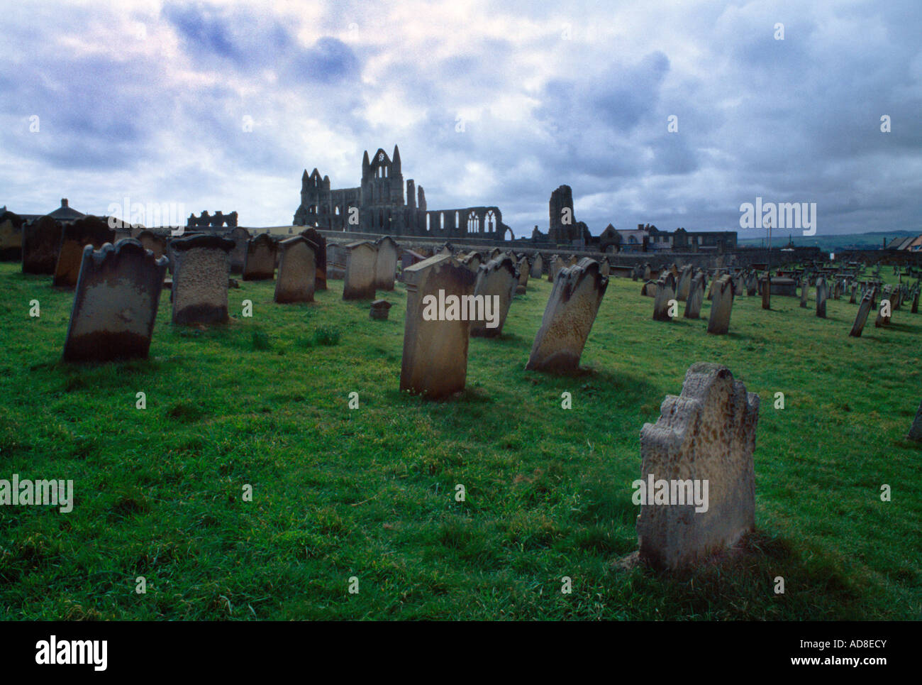 Graveyard Whitby Abbey Yorkshire England Stock Photo - Alamy
