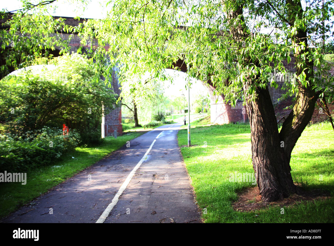 walk way bridge walk way in the light of spring cycle path way lush ...