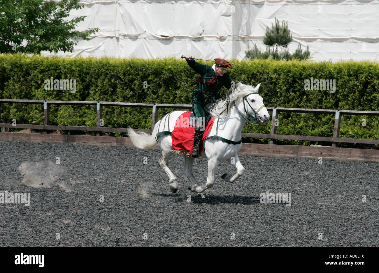 Medieval knight helmet hi-res stock photography and images - Alamy