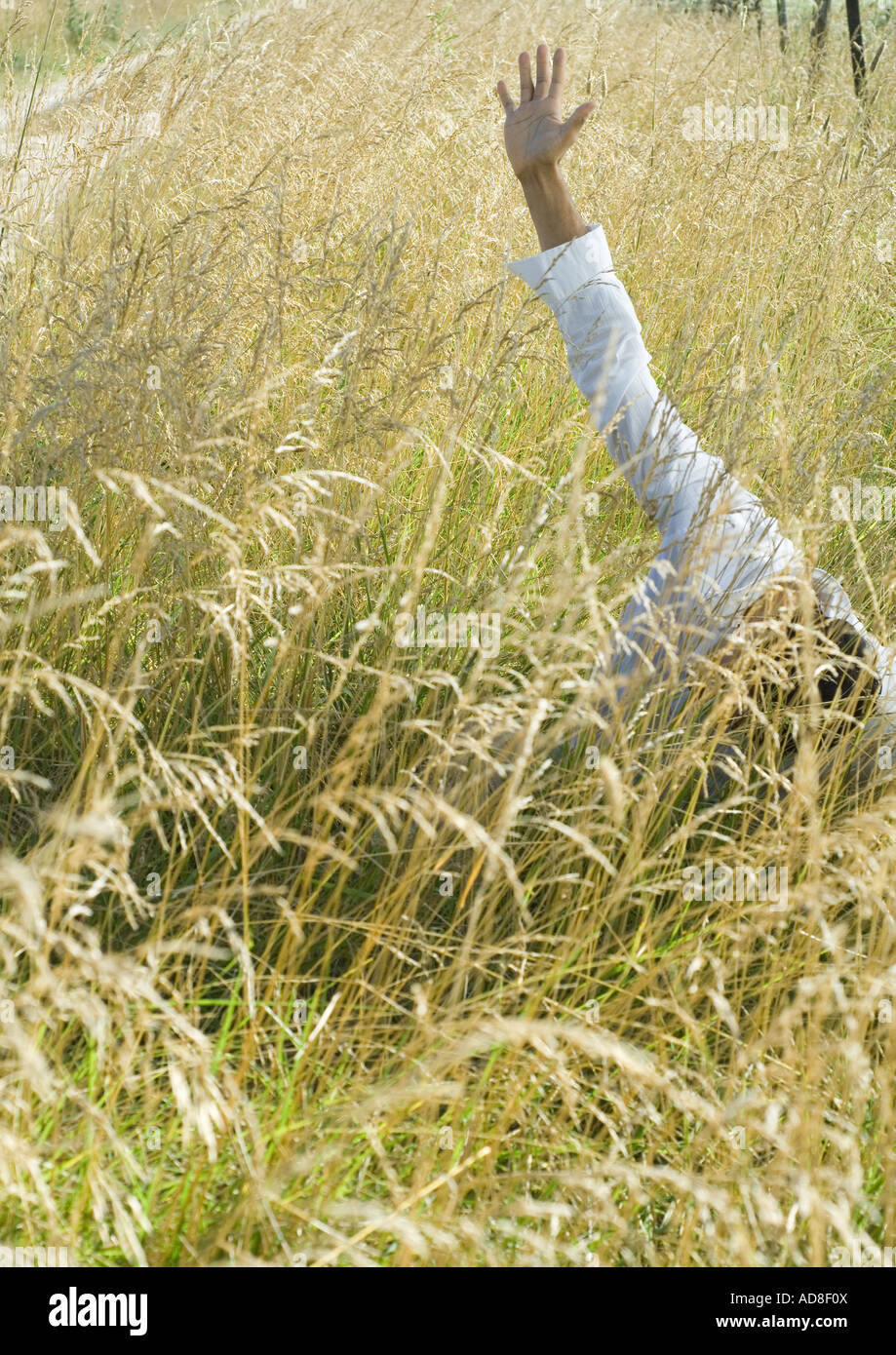Man standing in field, raising arm, leaning over Stock Photo - Alamy