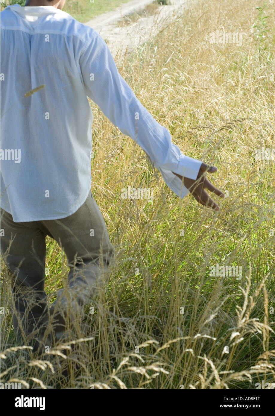 Man walking through field, arm out, rear view Stock Photo - Alamy