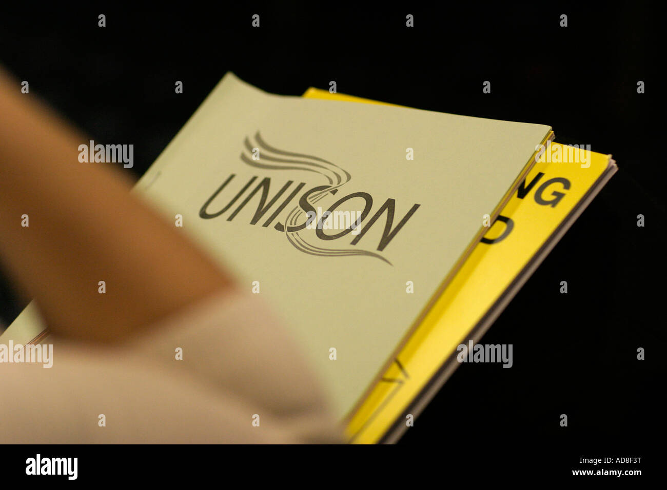 Unison Higher Education Service Group Conference Britannia Hotel ...