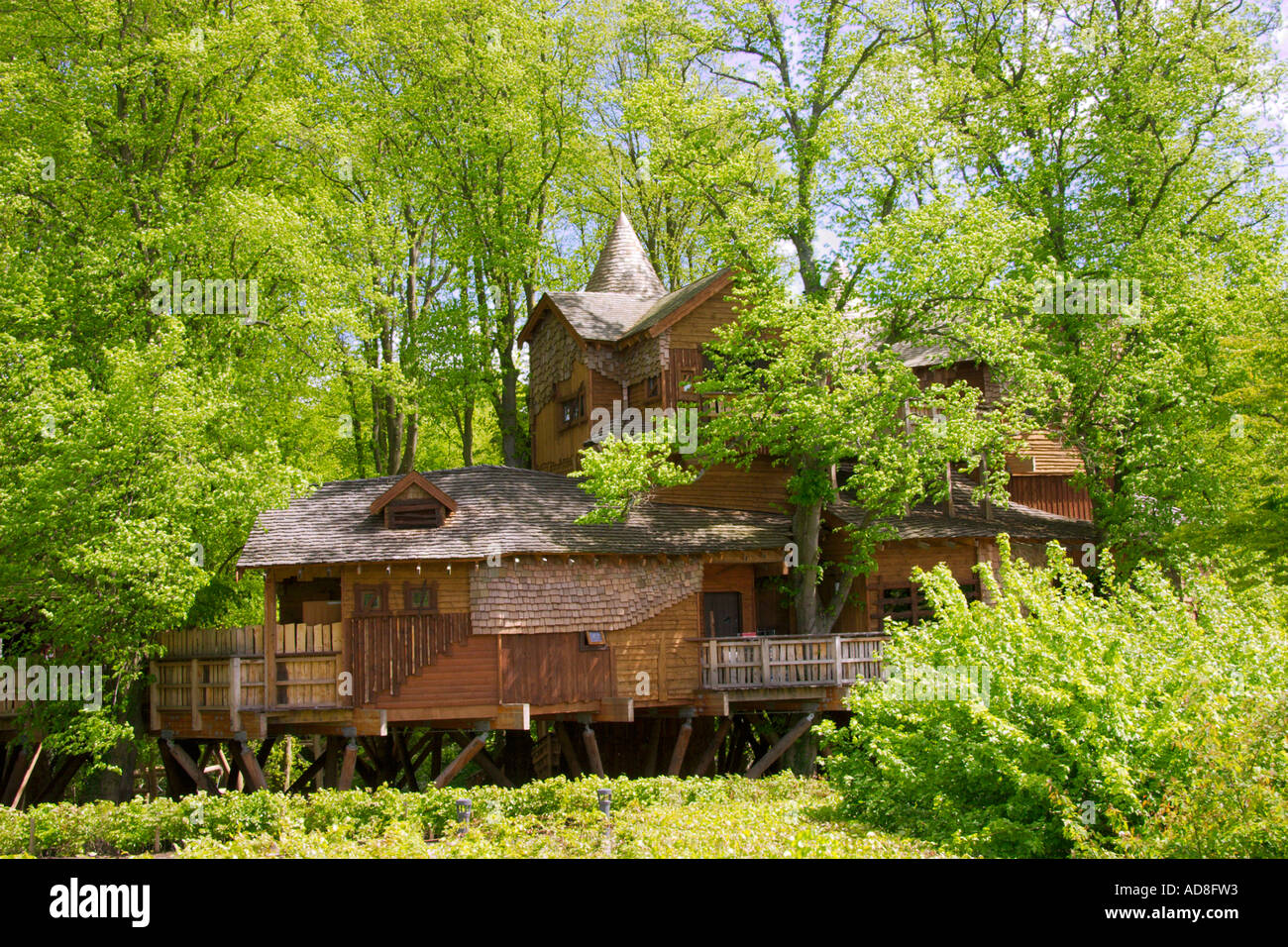 Worlds largest tree house hi-res stock photography and images - Alamy