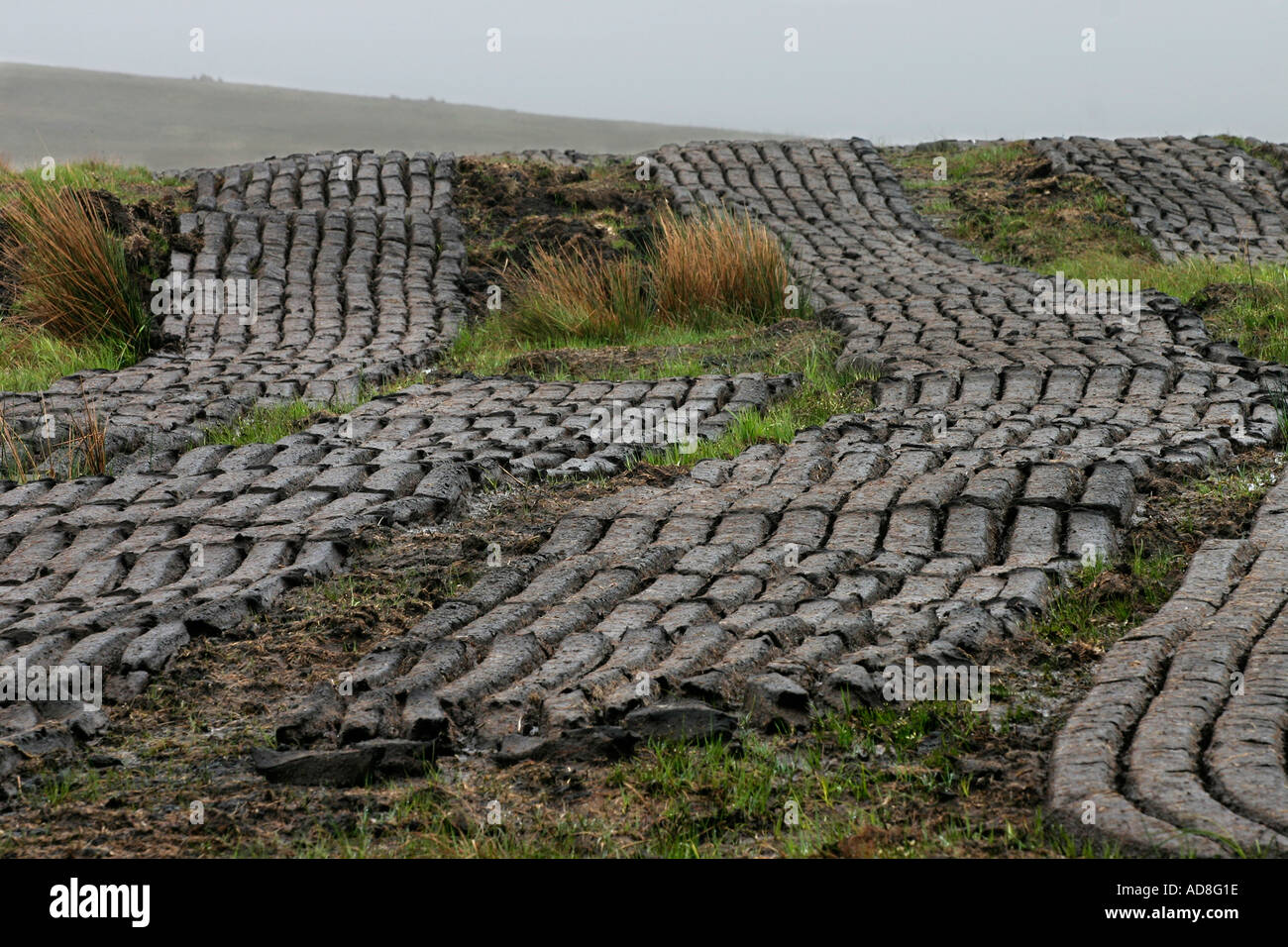 Peat mining hi-res stock photography and images - Alamy