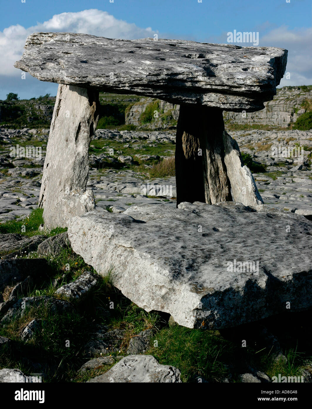 Ancient stoneage megalithic tomb set in a field littered with rock ...