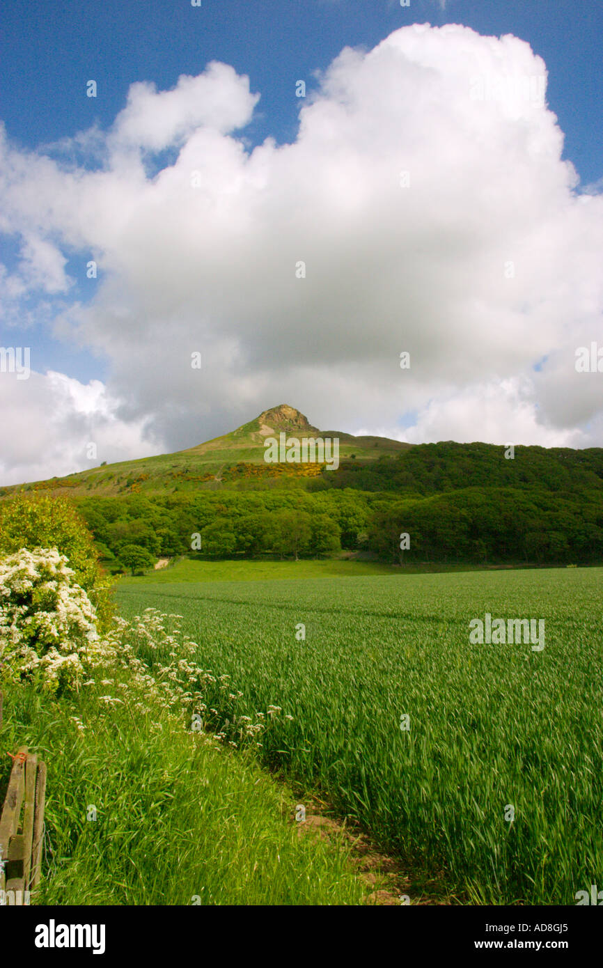 Roseberry Topping North Yorks Moors UK Stock Photo - Alamy