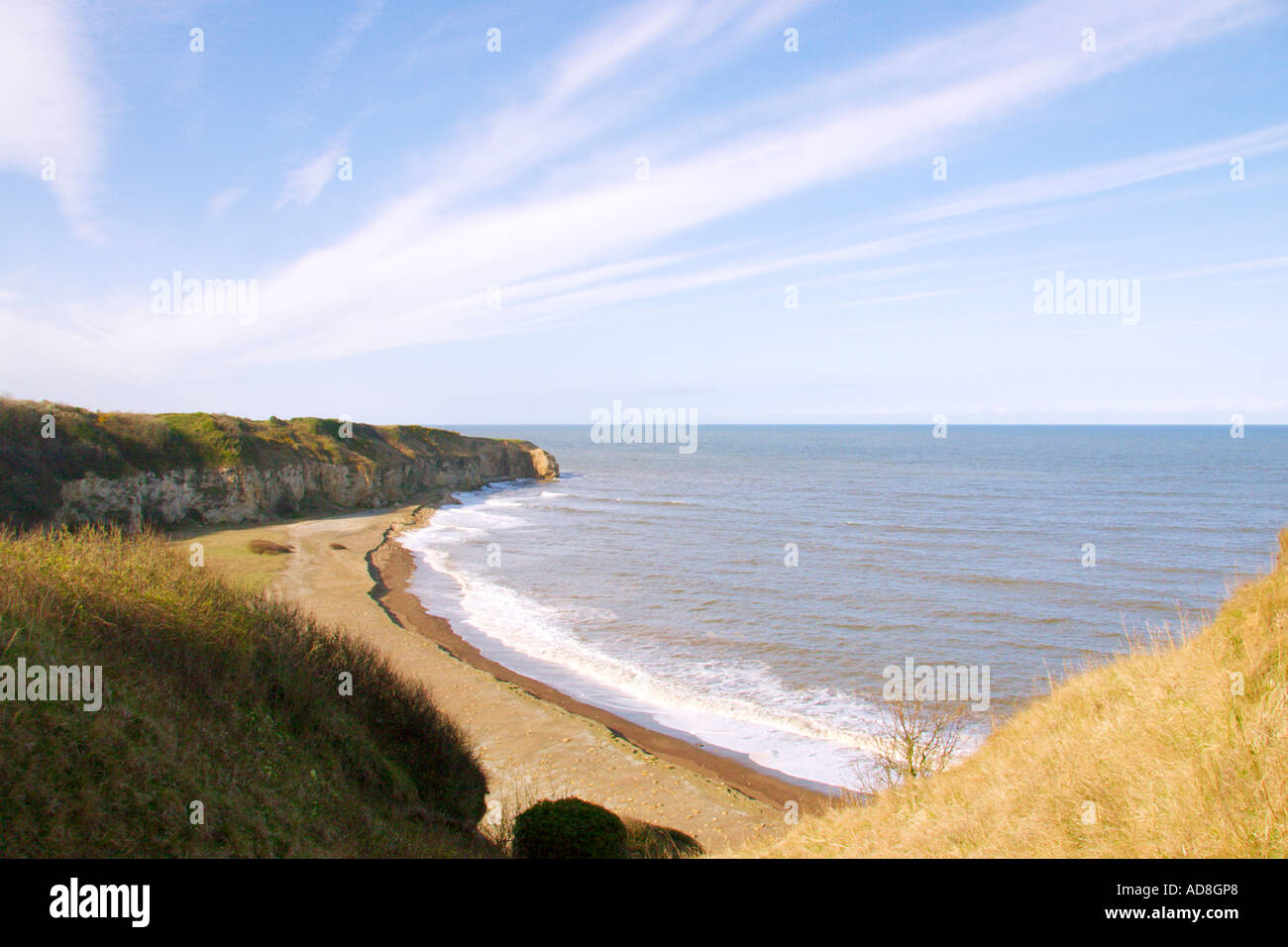Hawthorn hive beach co durham hi-res stock photography and images - Alamy