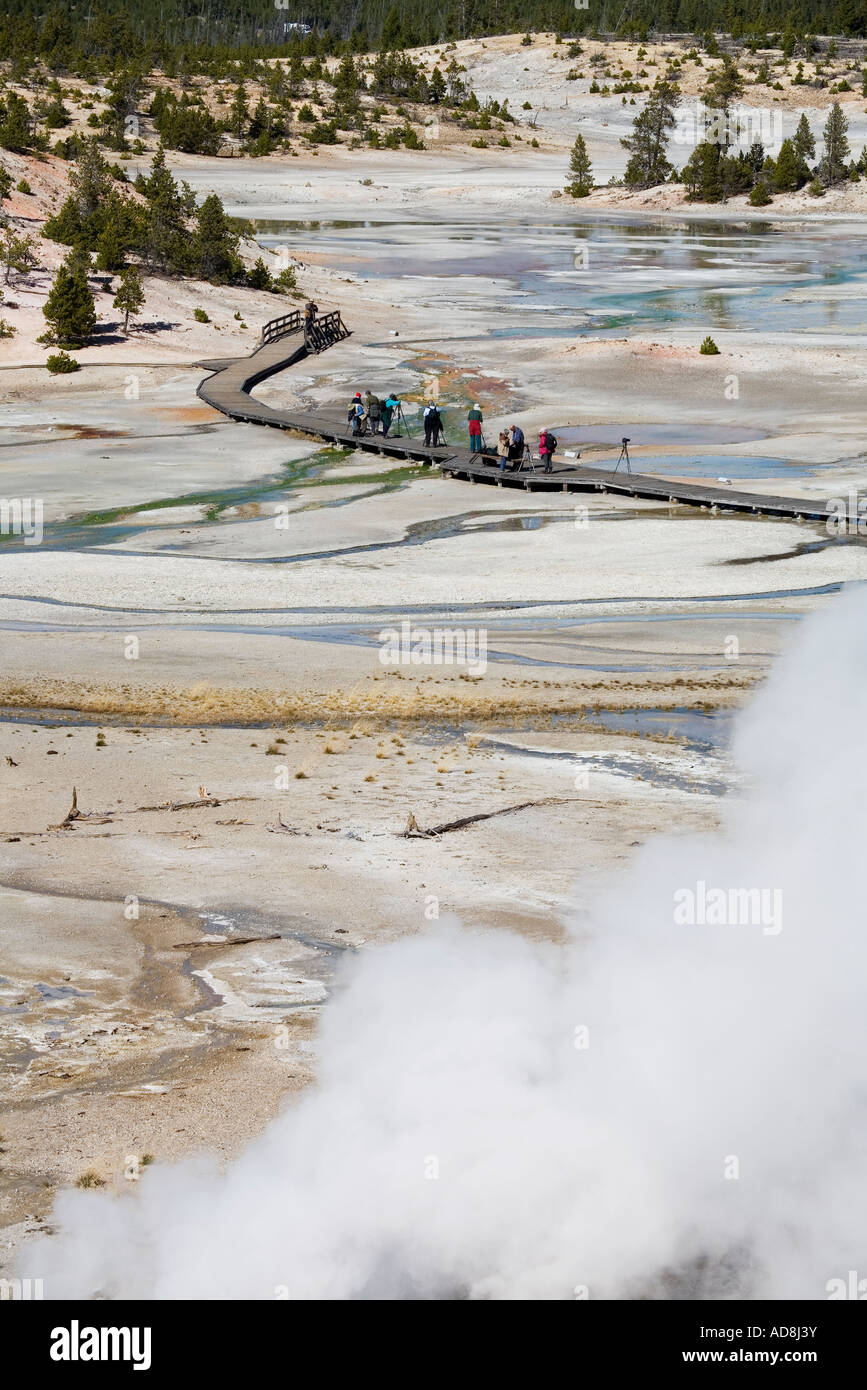 Norris Basin Geyser, hikers walking along the boardwalk in the geyser ...