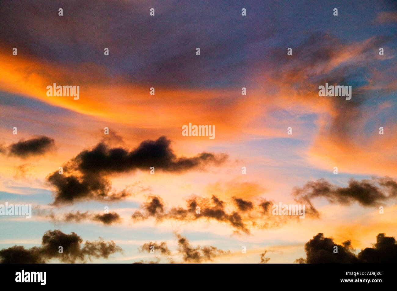 Florida sunset sky hi-res stock photography and images - Alamy