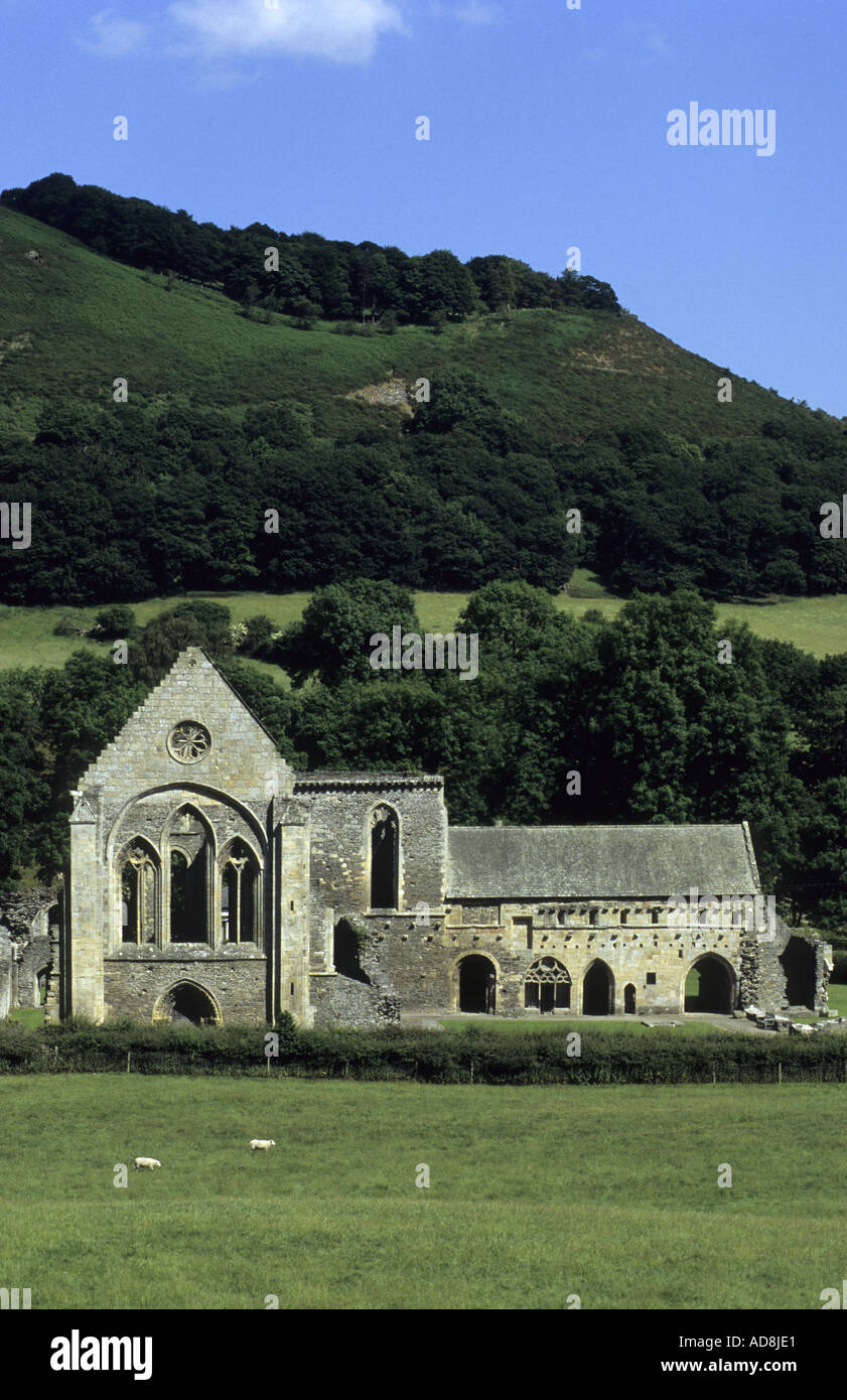 Abbey llangollen wales welsh abbeys hi-res stock photography and images ...