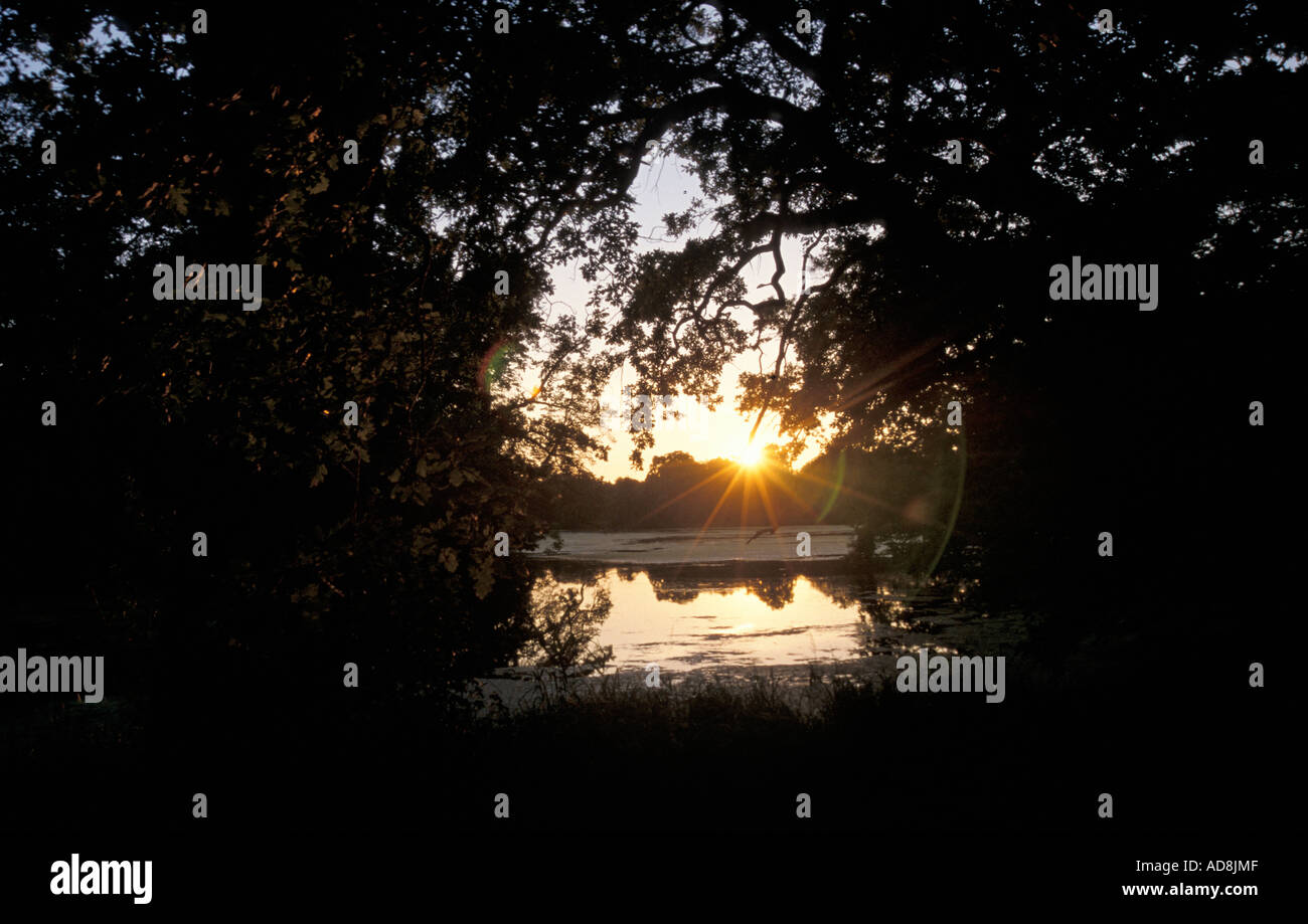 UNESCO World Heritage, Lednice, landscape garden Stock Photo - Alamy