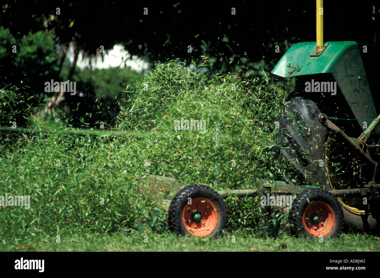 traktor, grass cutting Stock Photo - Alamy