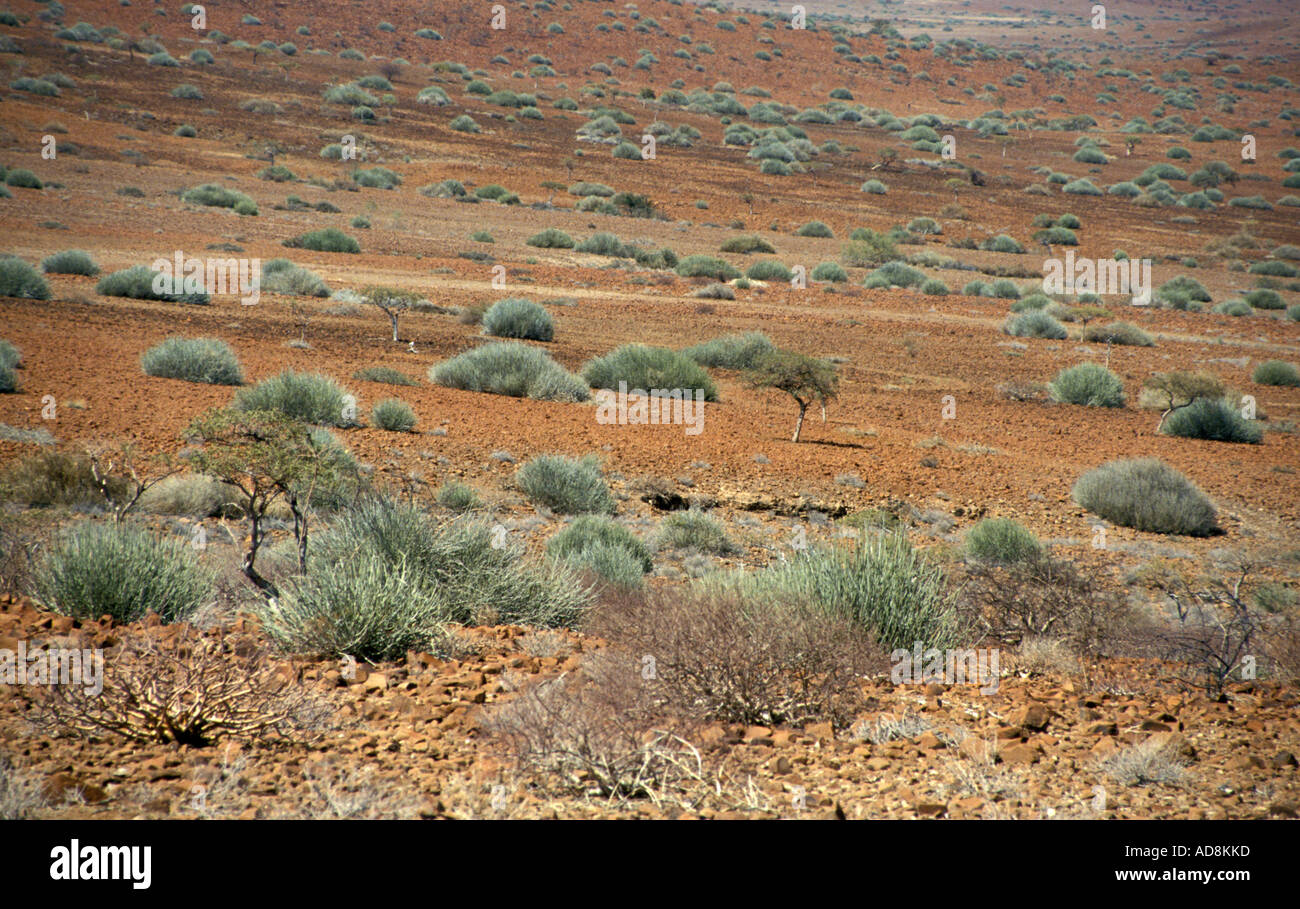 Red stone desert bushes hi-res stock photography and images - Alamy